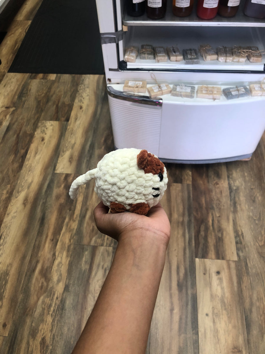 Chunky Cat – The Cob Mercantile and Worlds Window